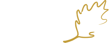 GutterRx: Long-lasting, American-made gutter guards